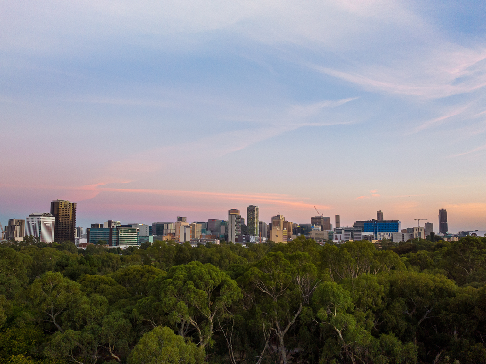 Top Experiences In Adelaide's CBD — TreeClimb