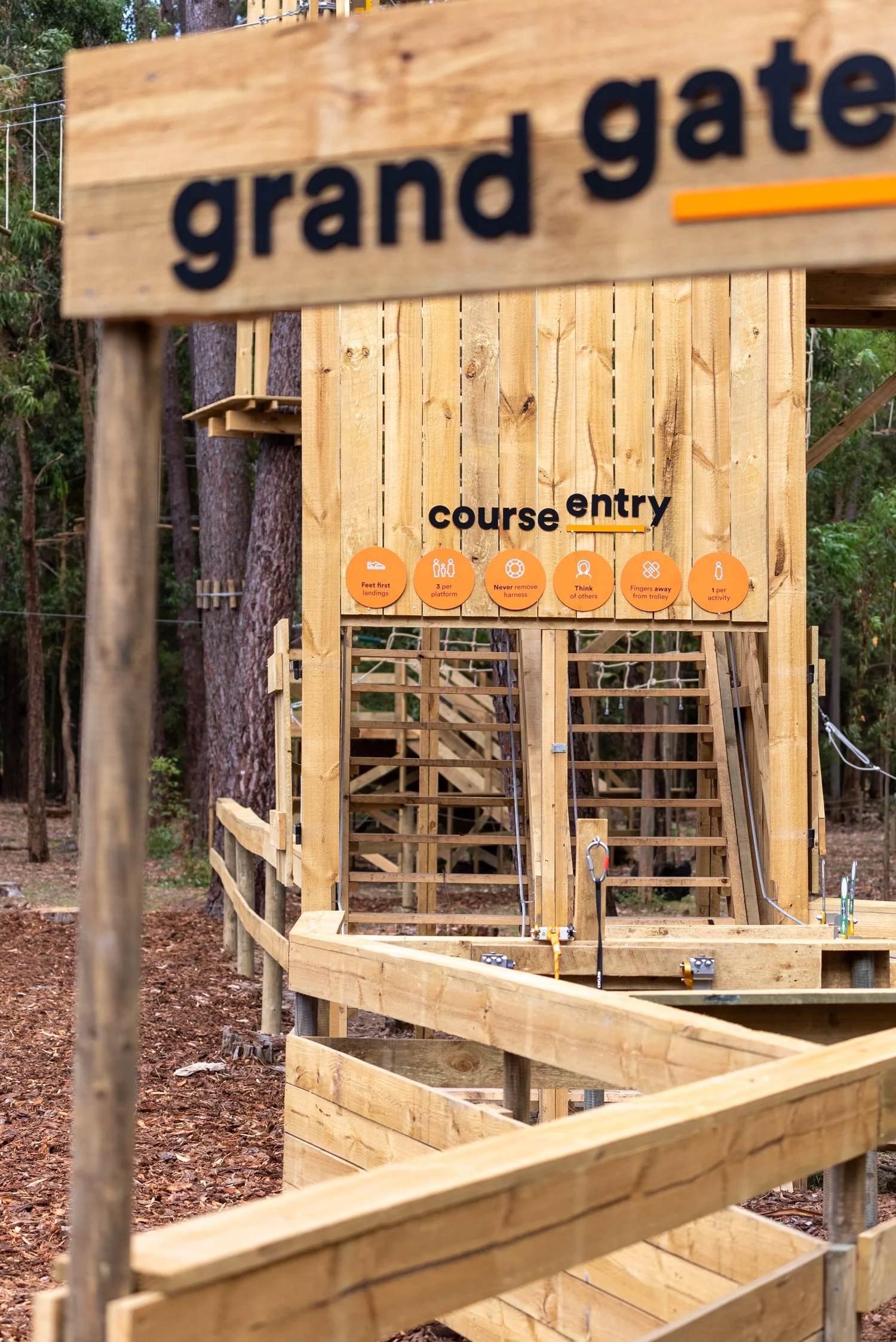 Book Now | Adventure Awaits Today — TreeClimb