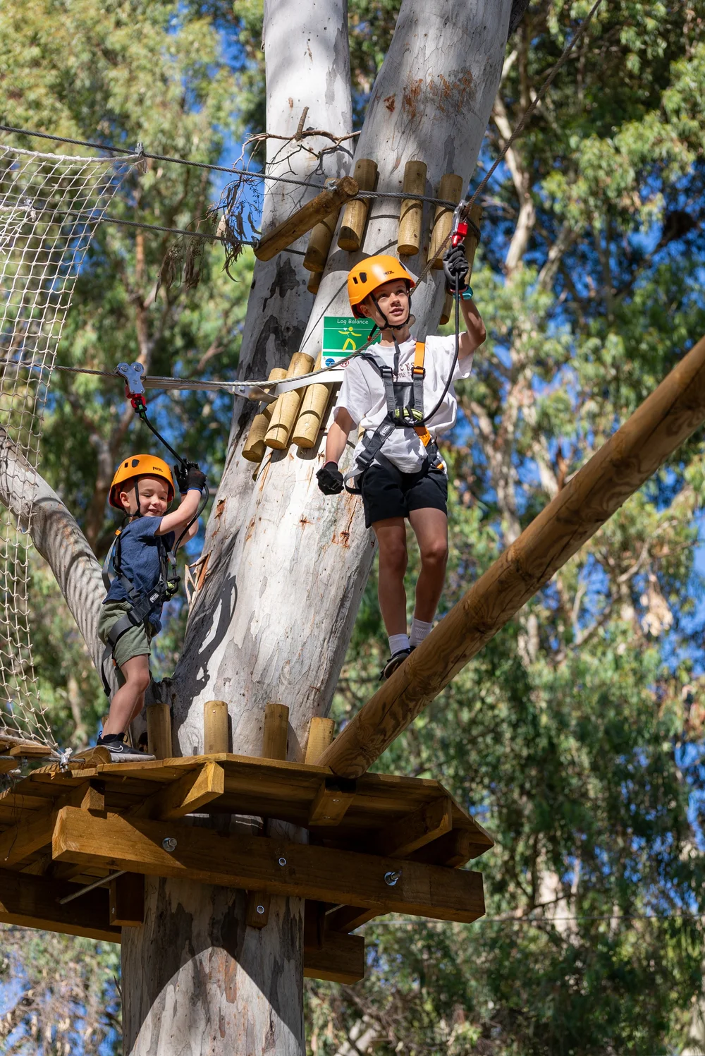 Book Now — TreeClimb