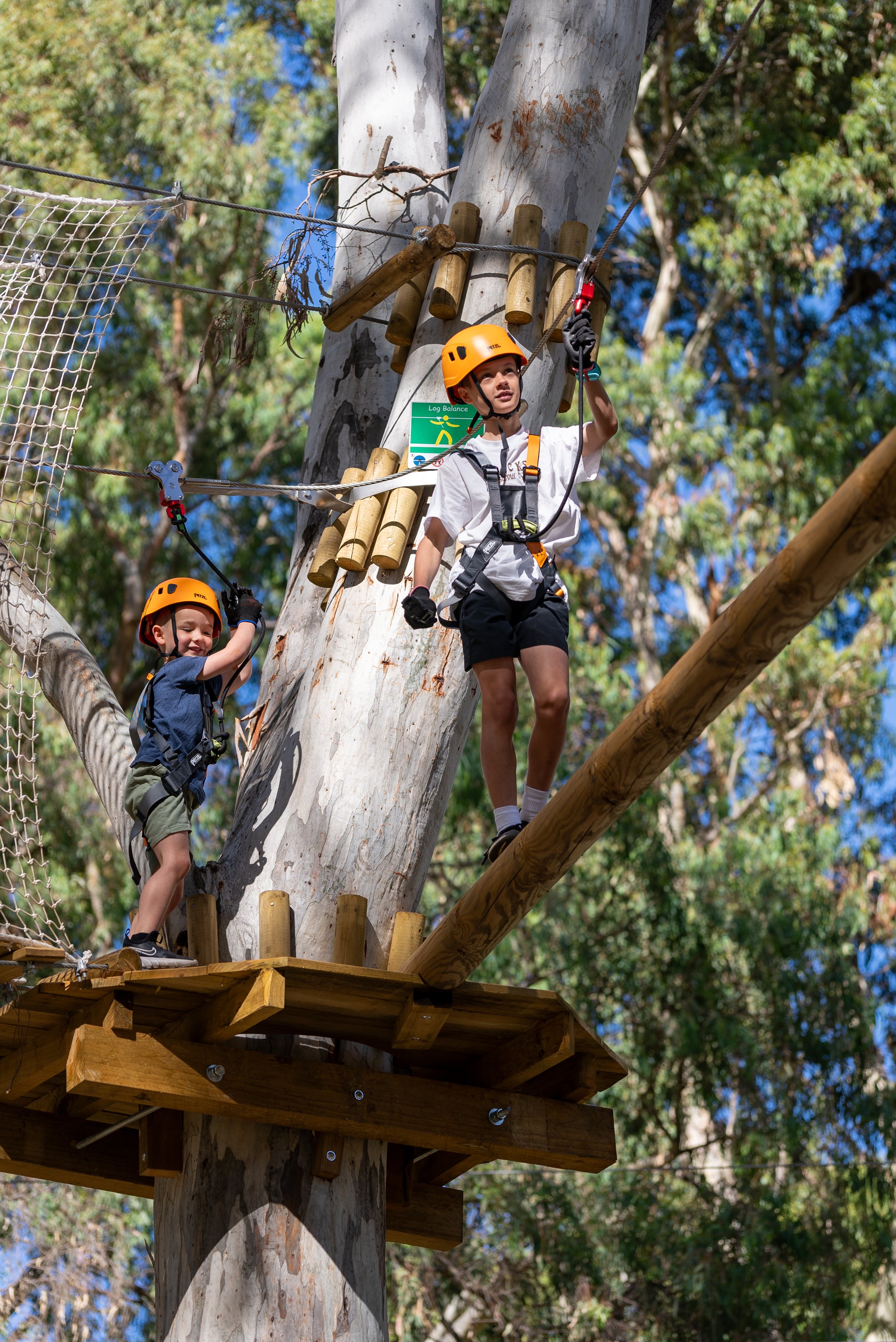 Book Now — TreeClimb