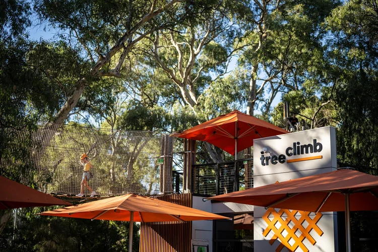 About — TreeClimb