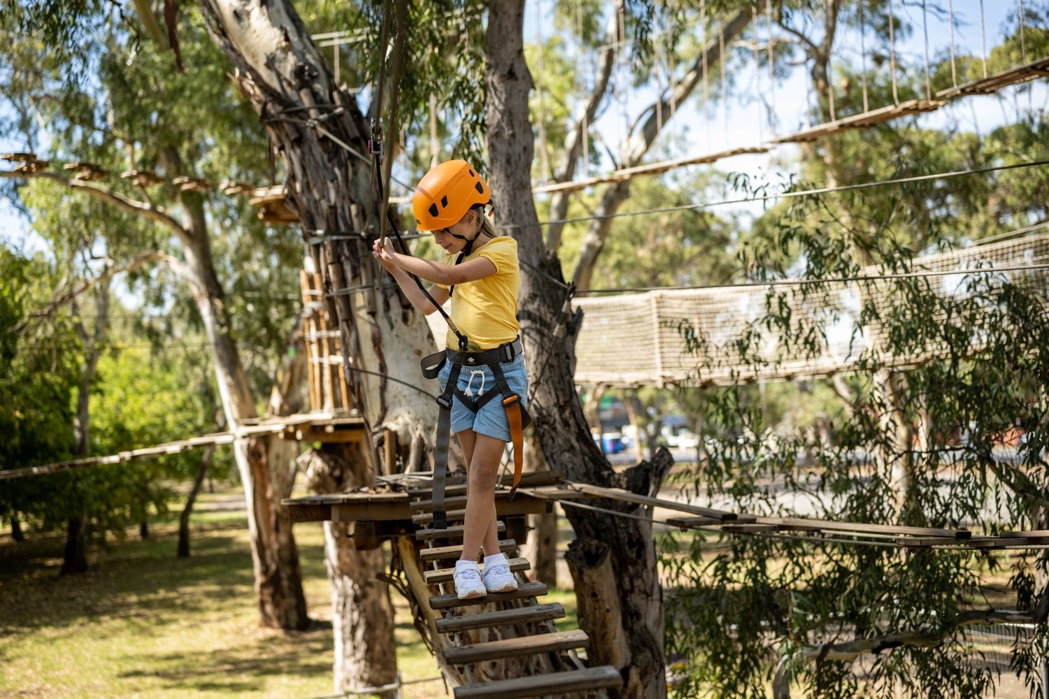 Book Now - Adelaide | Join the Adventure — TreeClimb