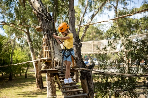 Book Now - Adelaide | Join the Adventure — TreeClimb