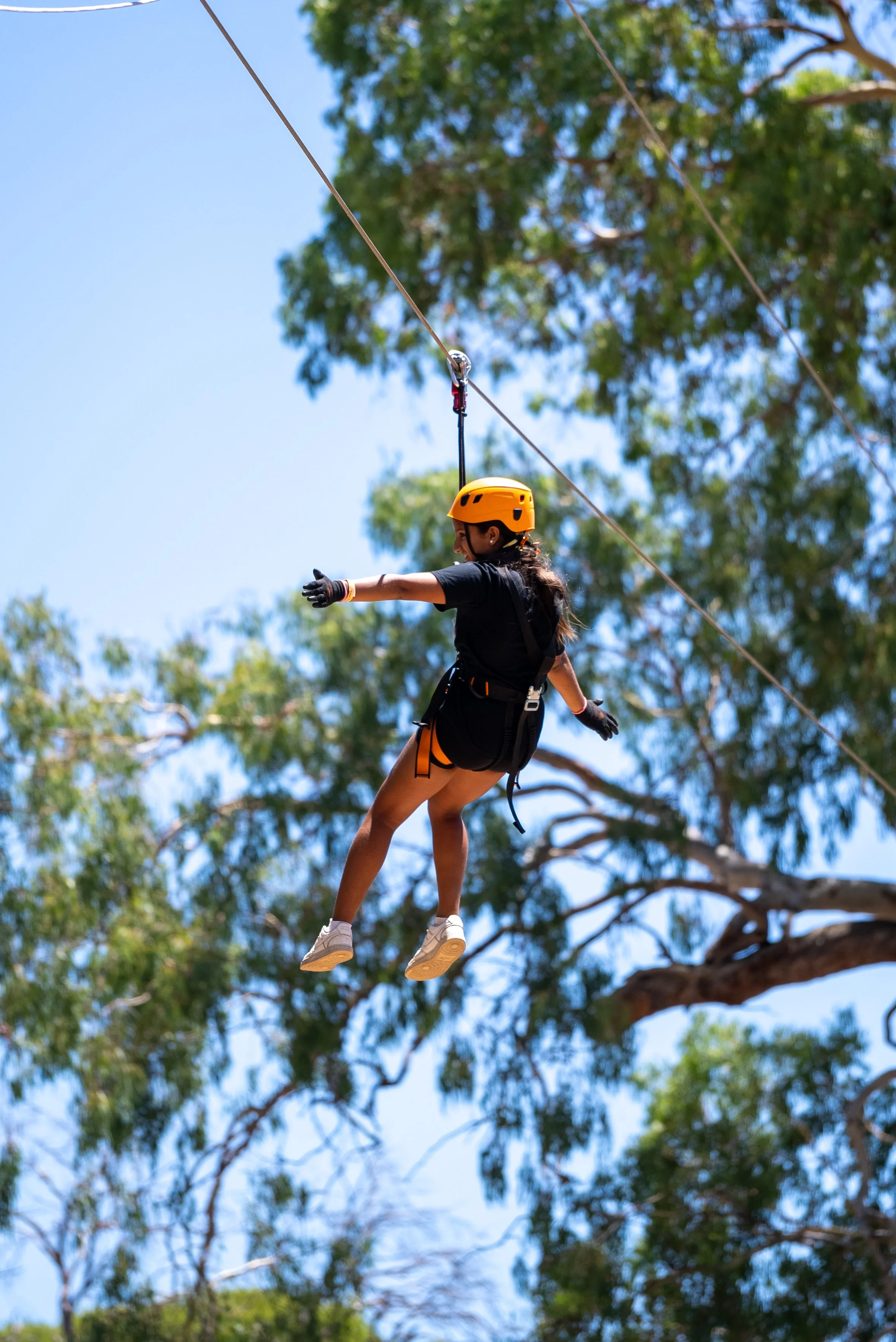 Book Now | Adventure Awaits Today — TreeClimb