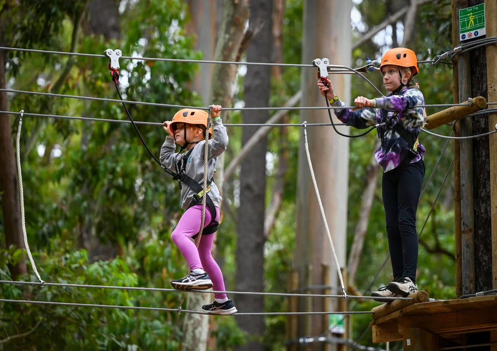 Book Now | Adventure Awaits Today — TreeClimb
