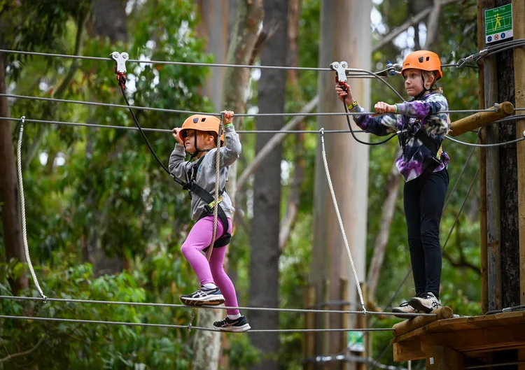 TreeClimb - Engineered for fun, powered by nature.