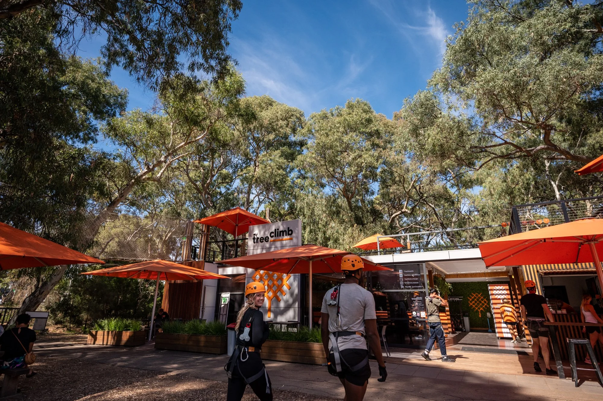 Top Experiences In Adelaide's CBD — TreeClimb
