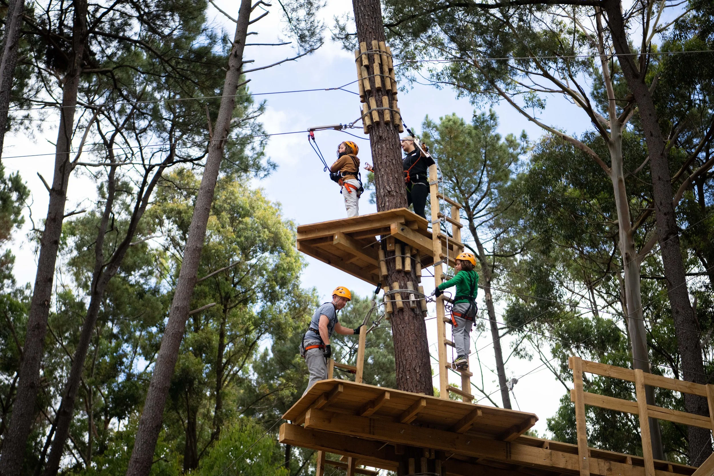 Book Now | Adventure Awaits Today — TreeClimb