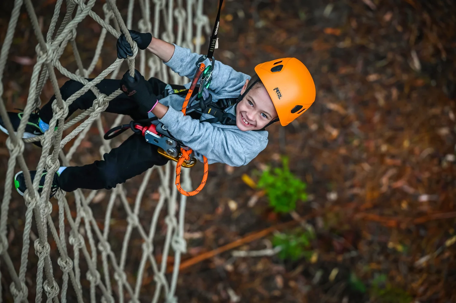 Salisbury — TreeClimb