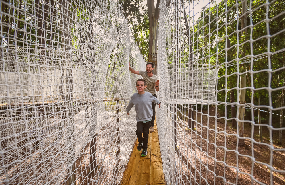 FAQs | Get Answers Now — TreeClimb