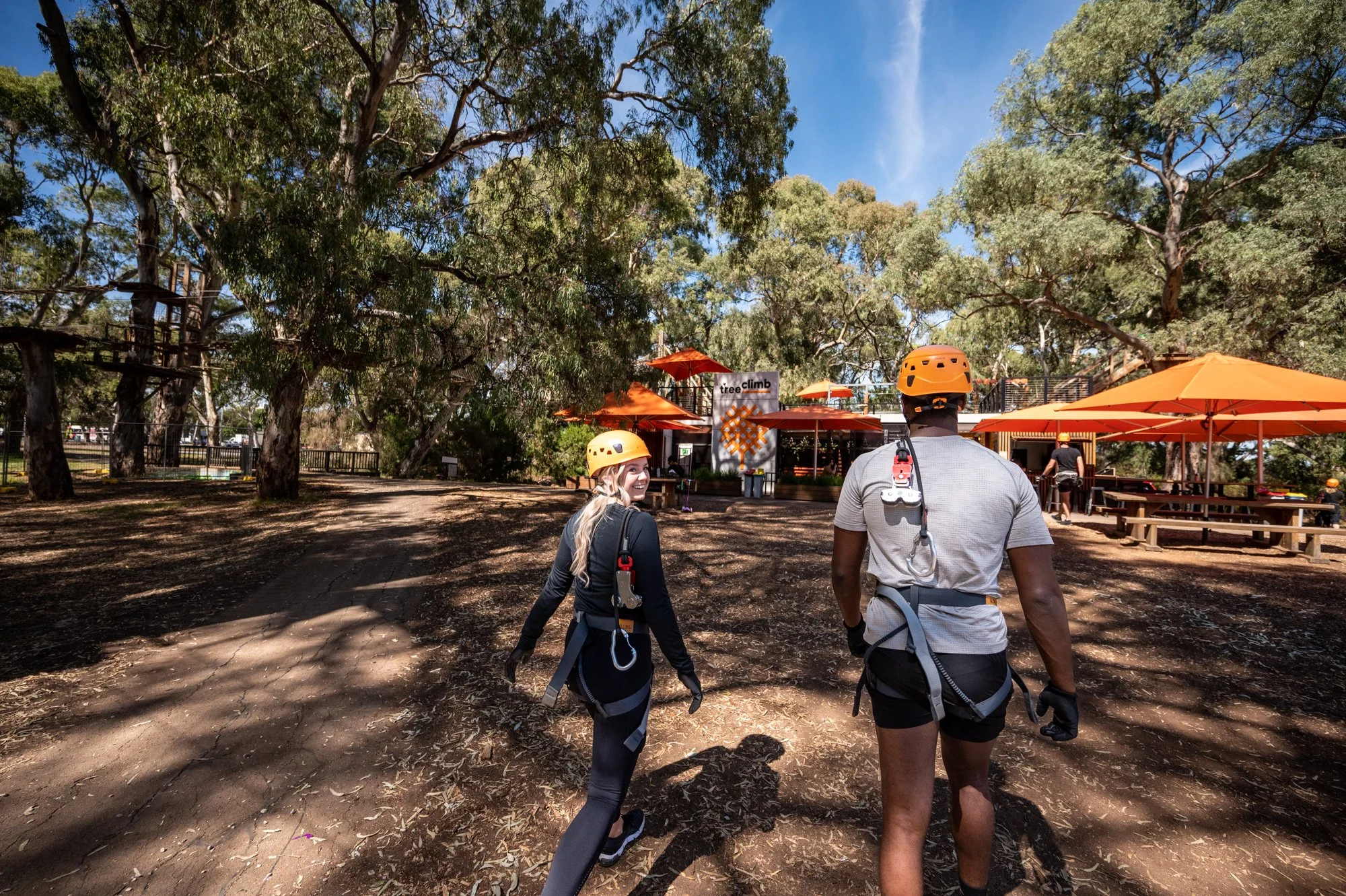 Video Gallery | Explore Our Adventures — TreeClimb