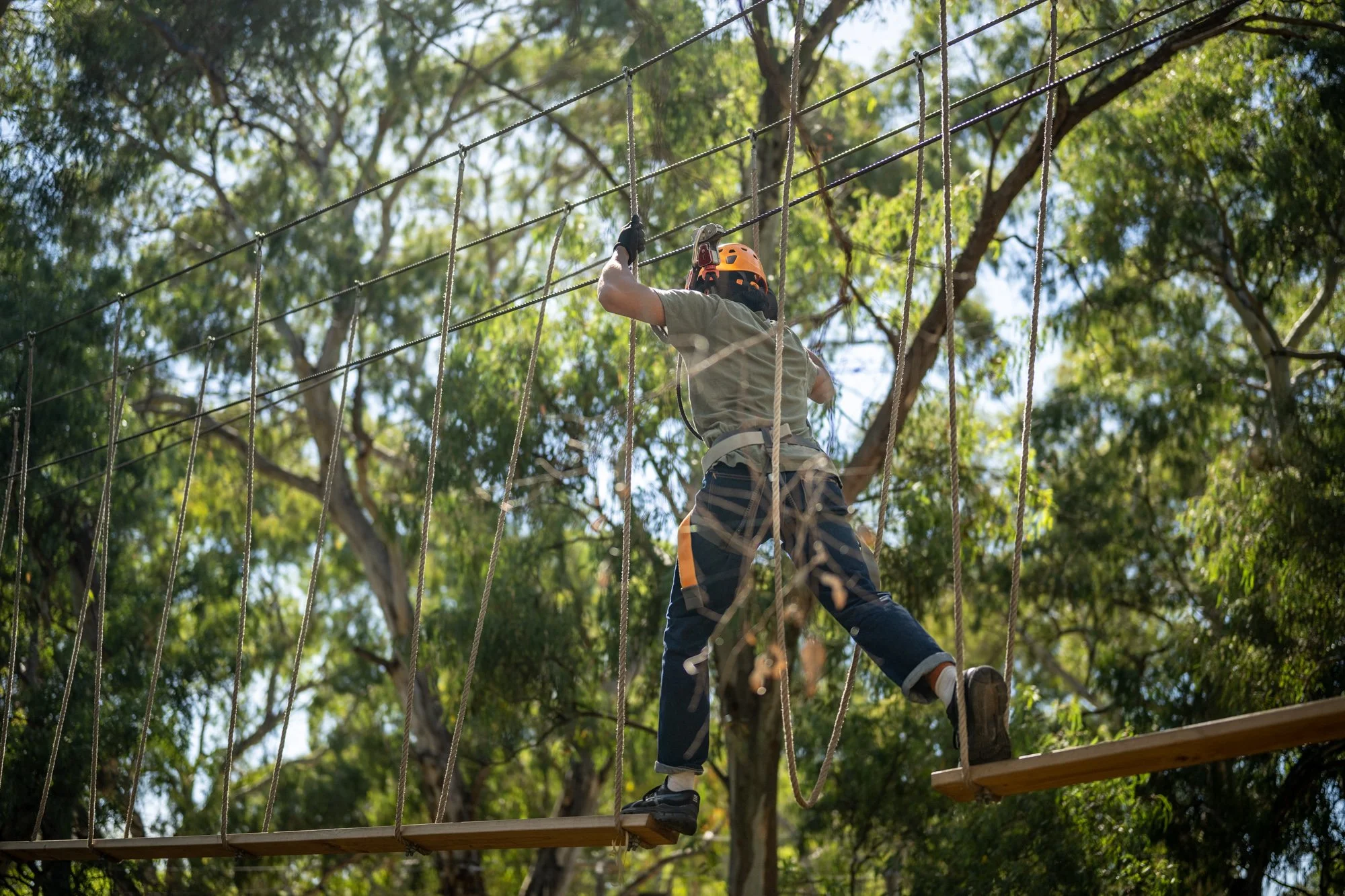 Book Now — TreeClimb