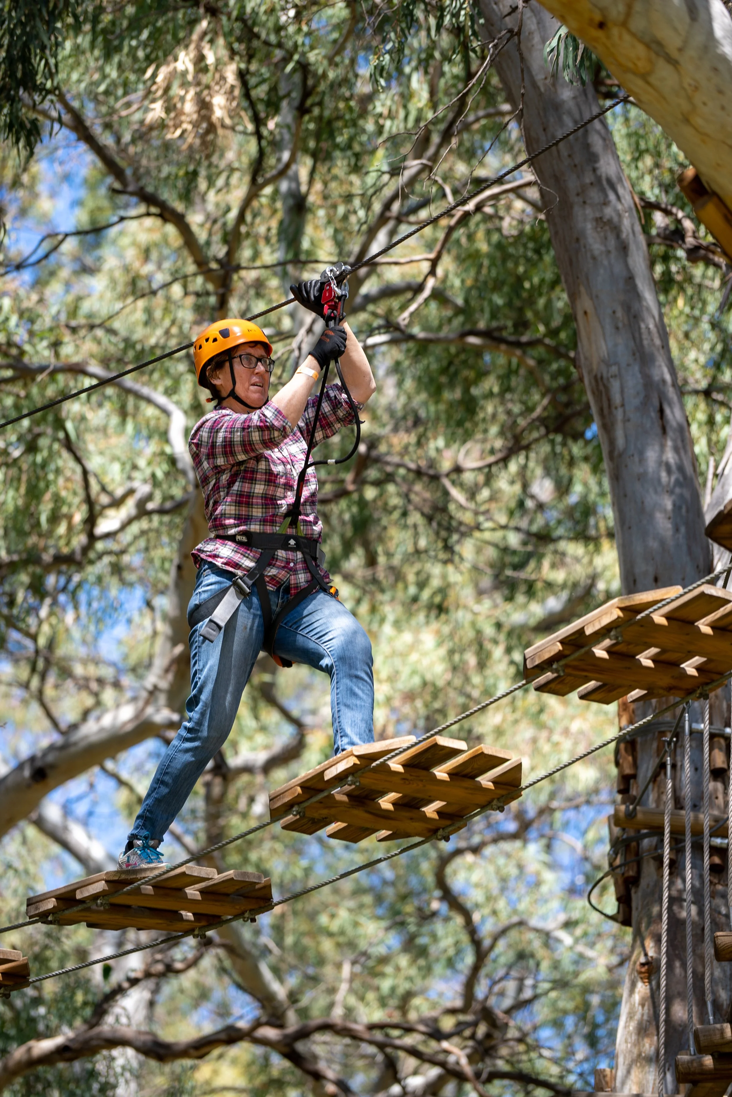 Experiences | Explore Thrilling Adventures — TreeClimb