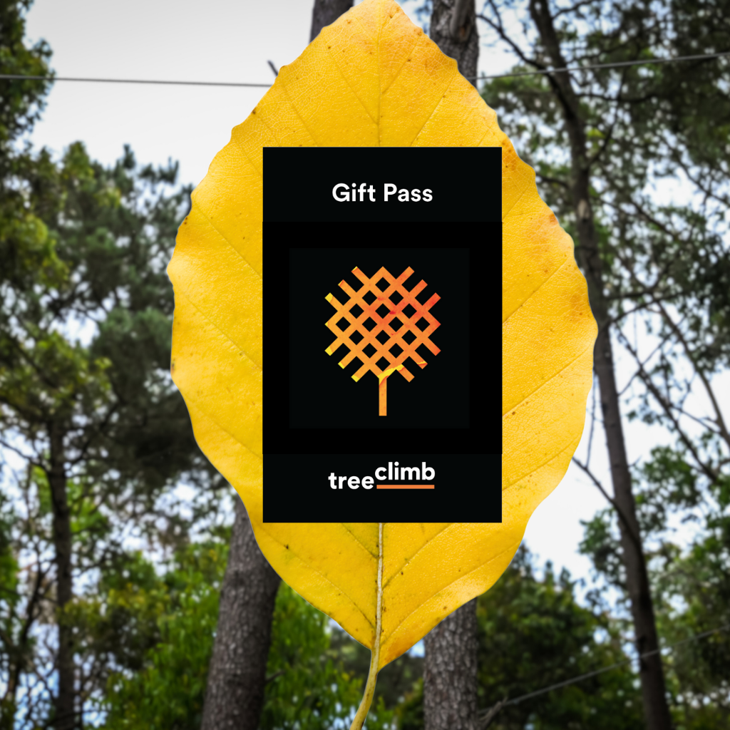 TreeClimb - Engineered for fun, powered by nature.