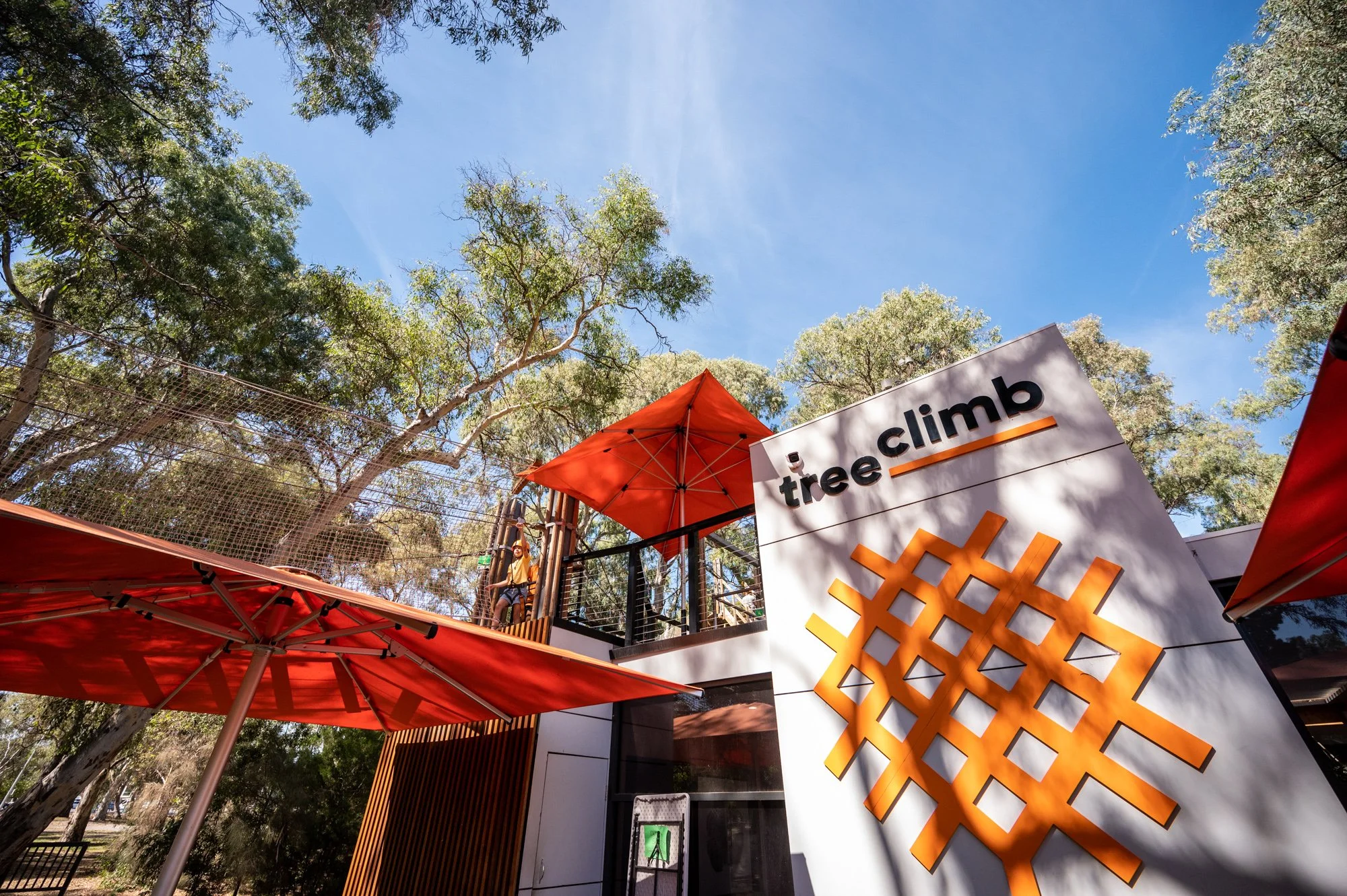 Book Now - Adelaide | Join the Adventure — TreeClimb