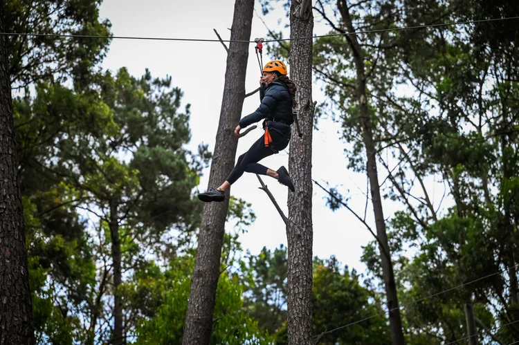 Experiences | Explore Thrilling Adventures — TreeClimb