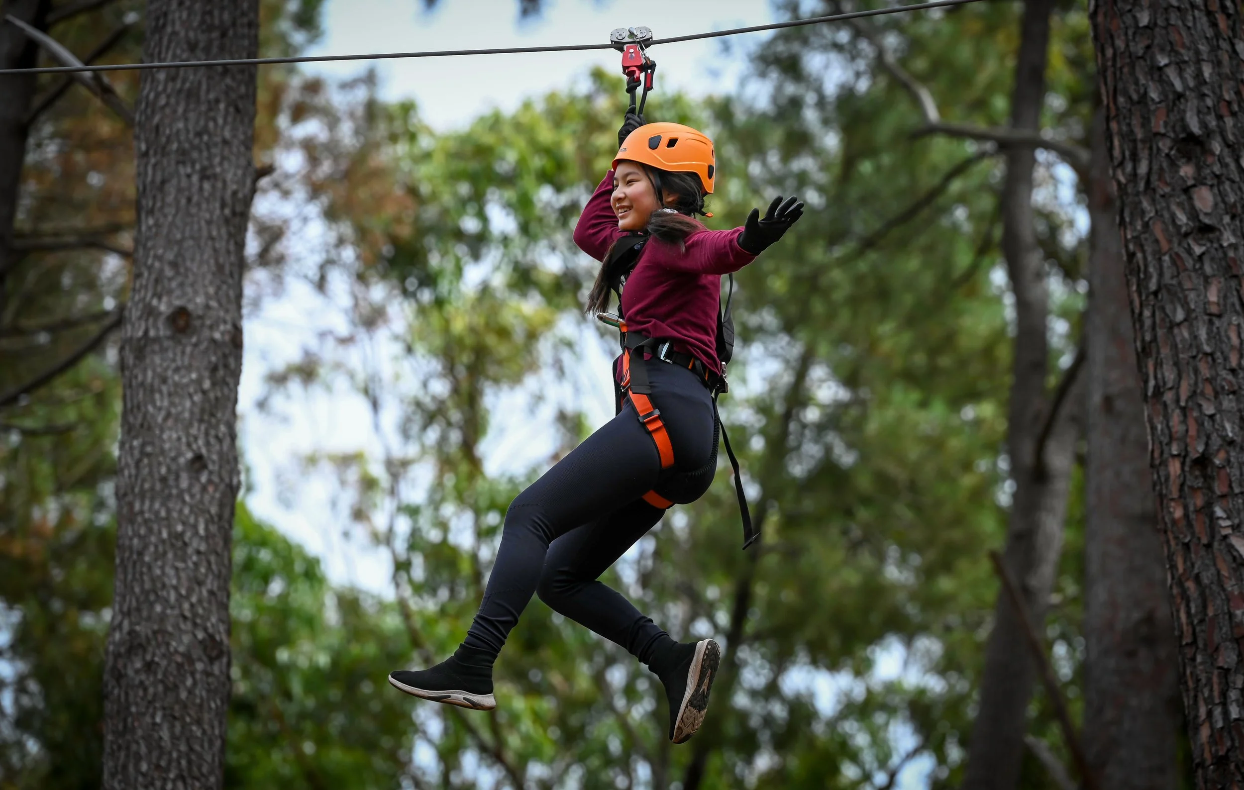 Book Now | Adventure Awaits Today — TreeClimb
