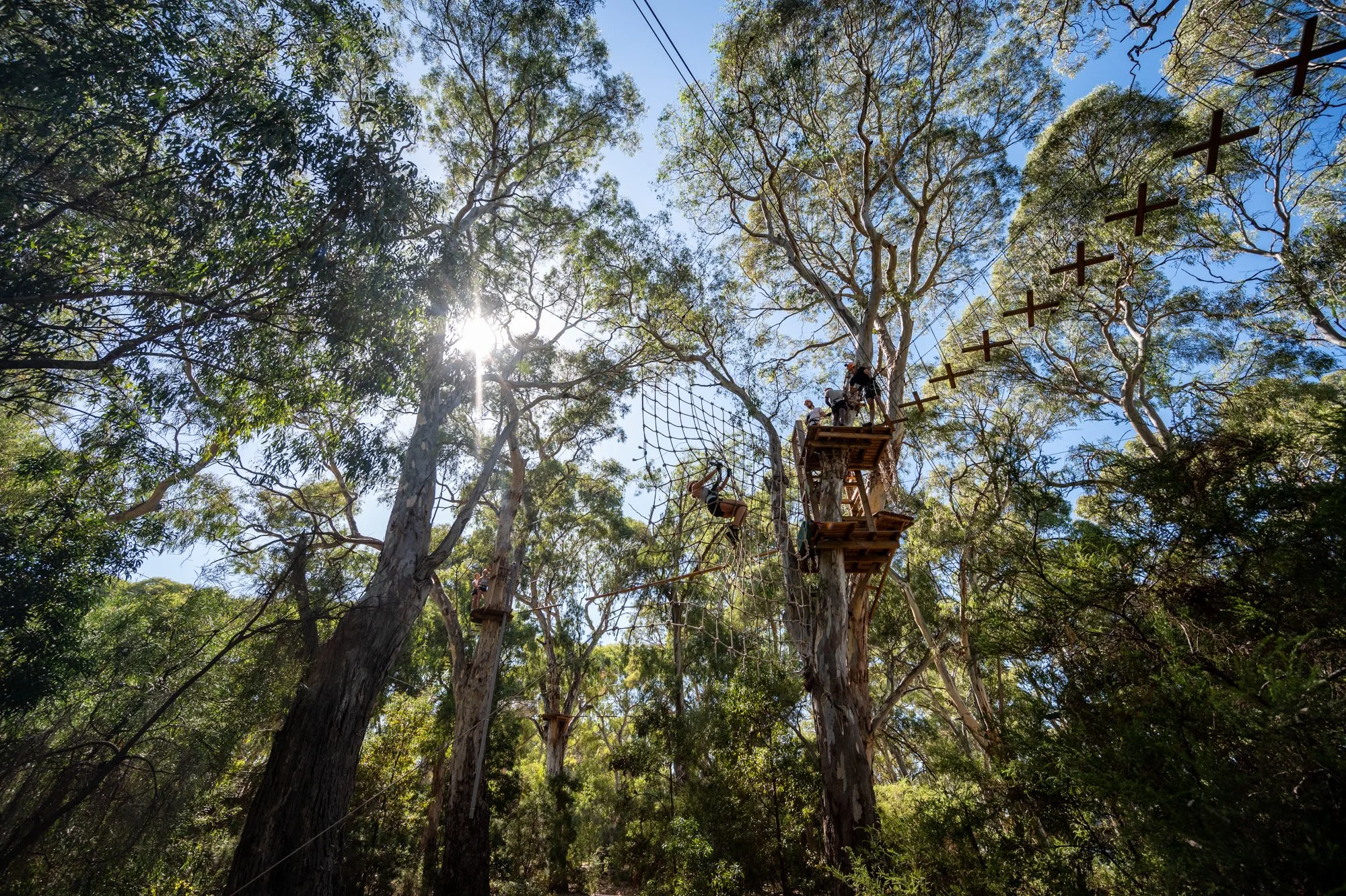 Book Now - Kuitpo Forest — TreeClimb