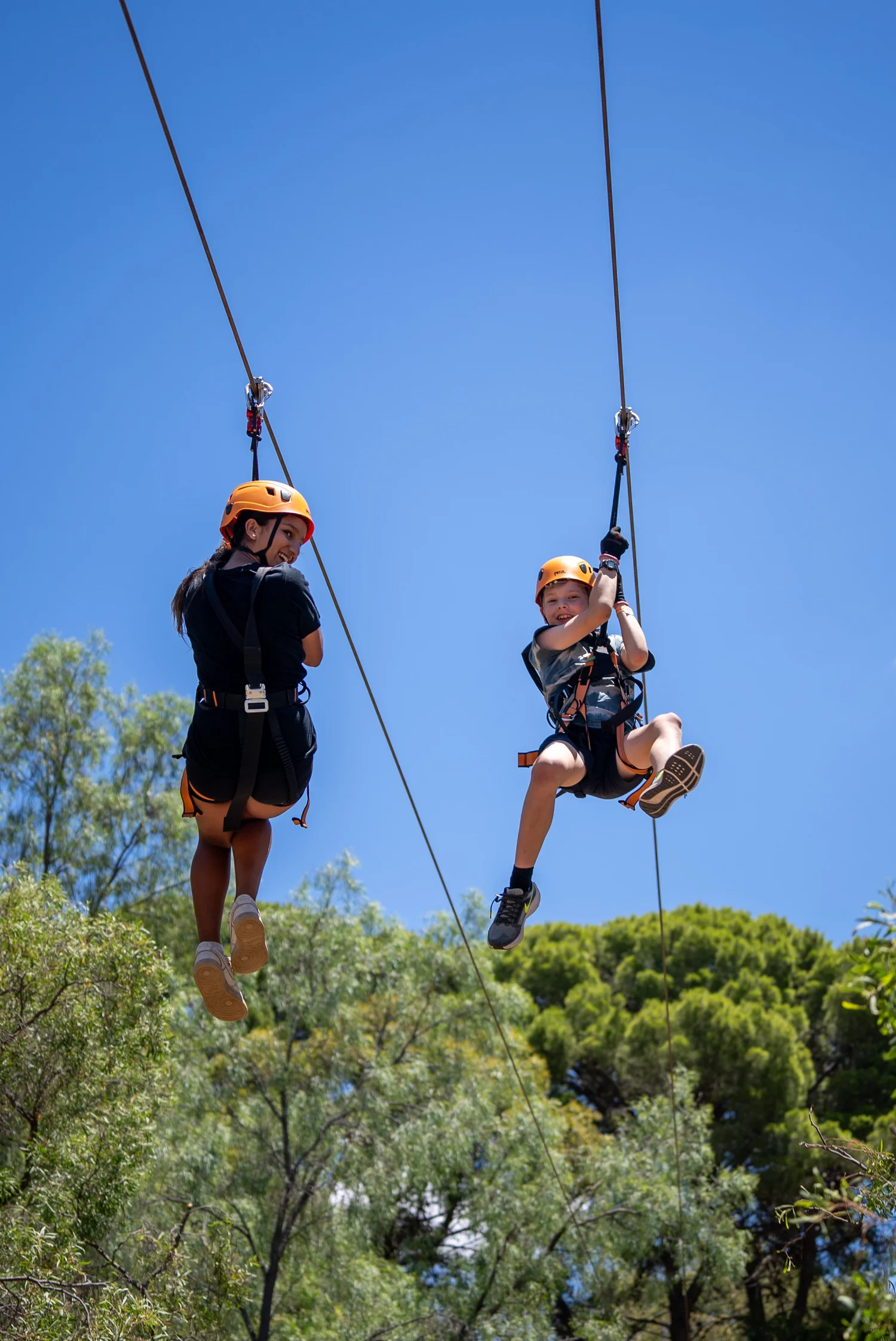 Book Now | Adventure Awaits Today — TreeClimb