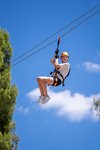 Book Now - Salisbury | Explore New Heights — TreeClimb