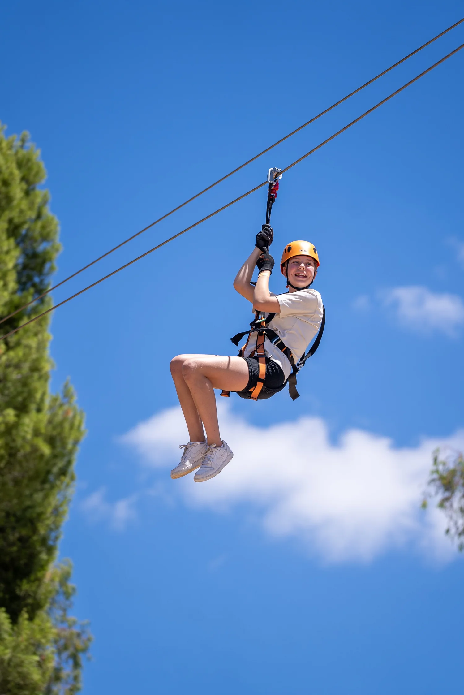 Book Now - Salisbury | Explore New Heights — TreeClimb