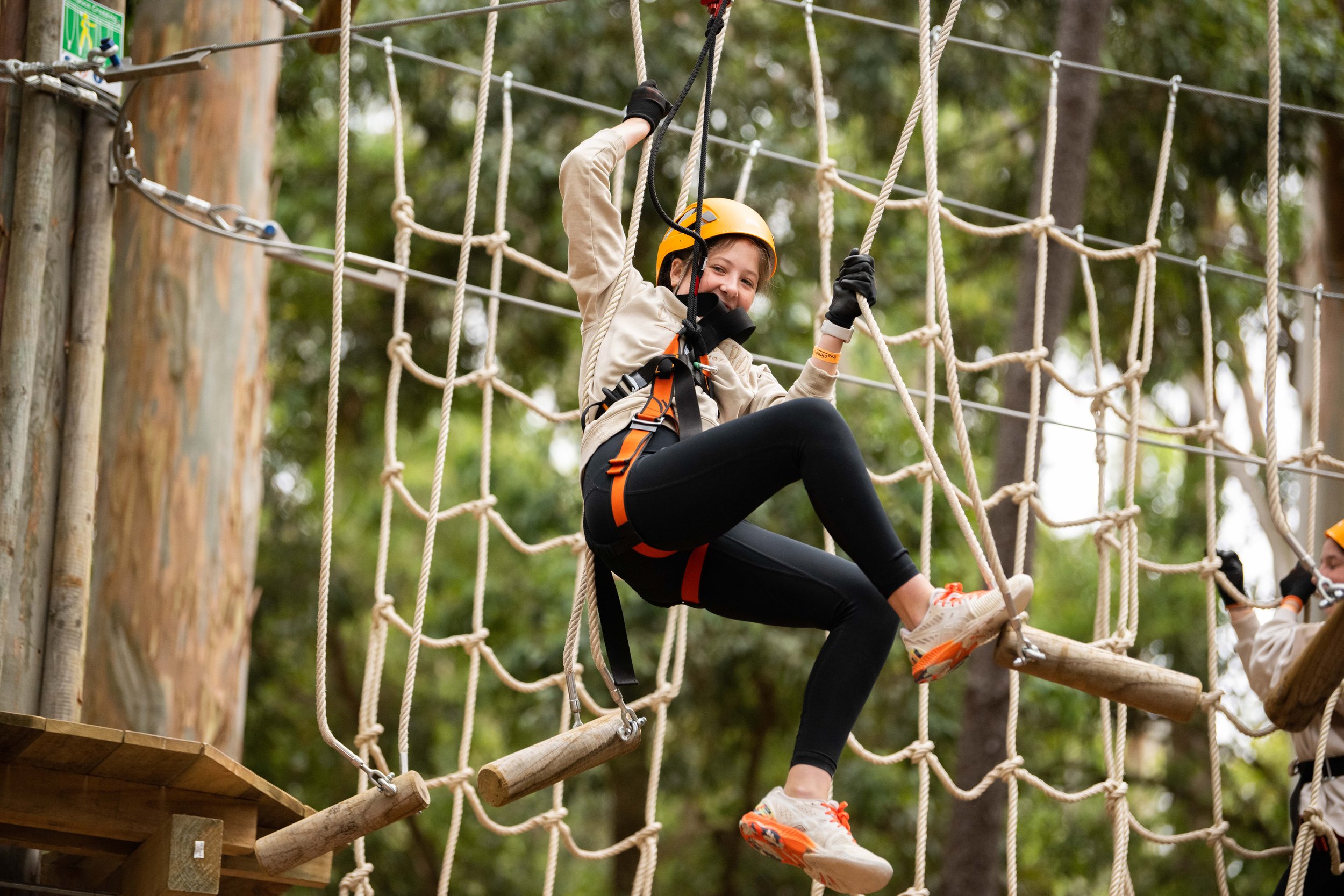 Book Now | Adventure Awaits Today — TreeClimb