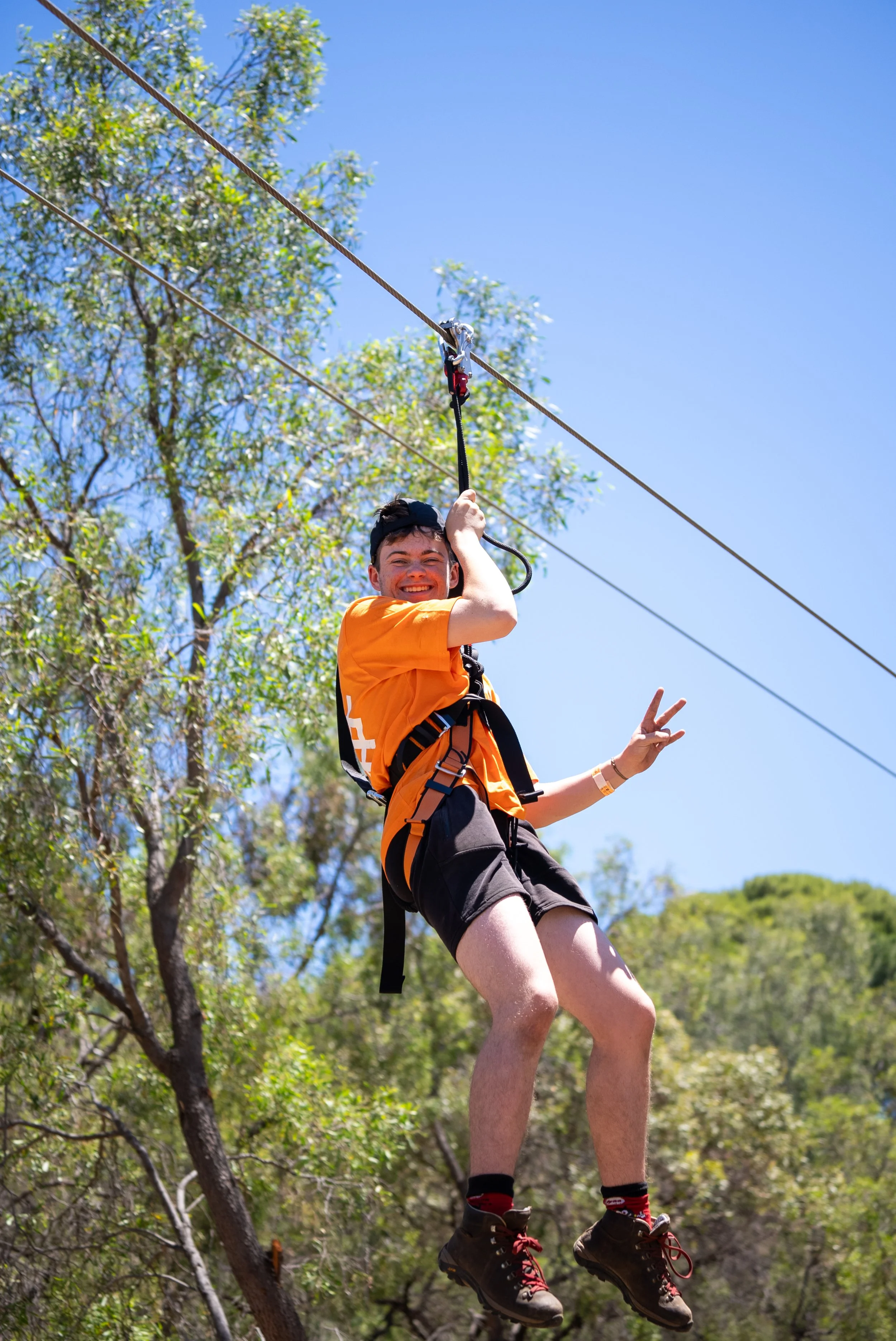Book Now - Salisbury | Explore New Heights — TreeClimb
