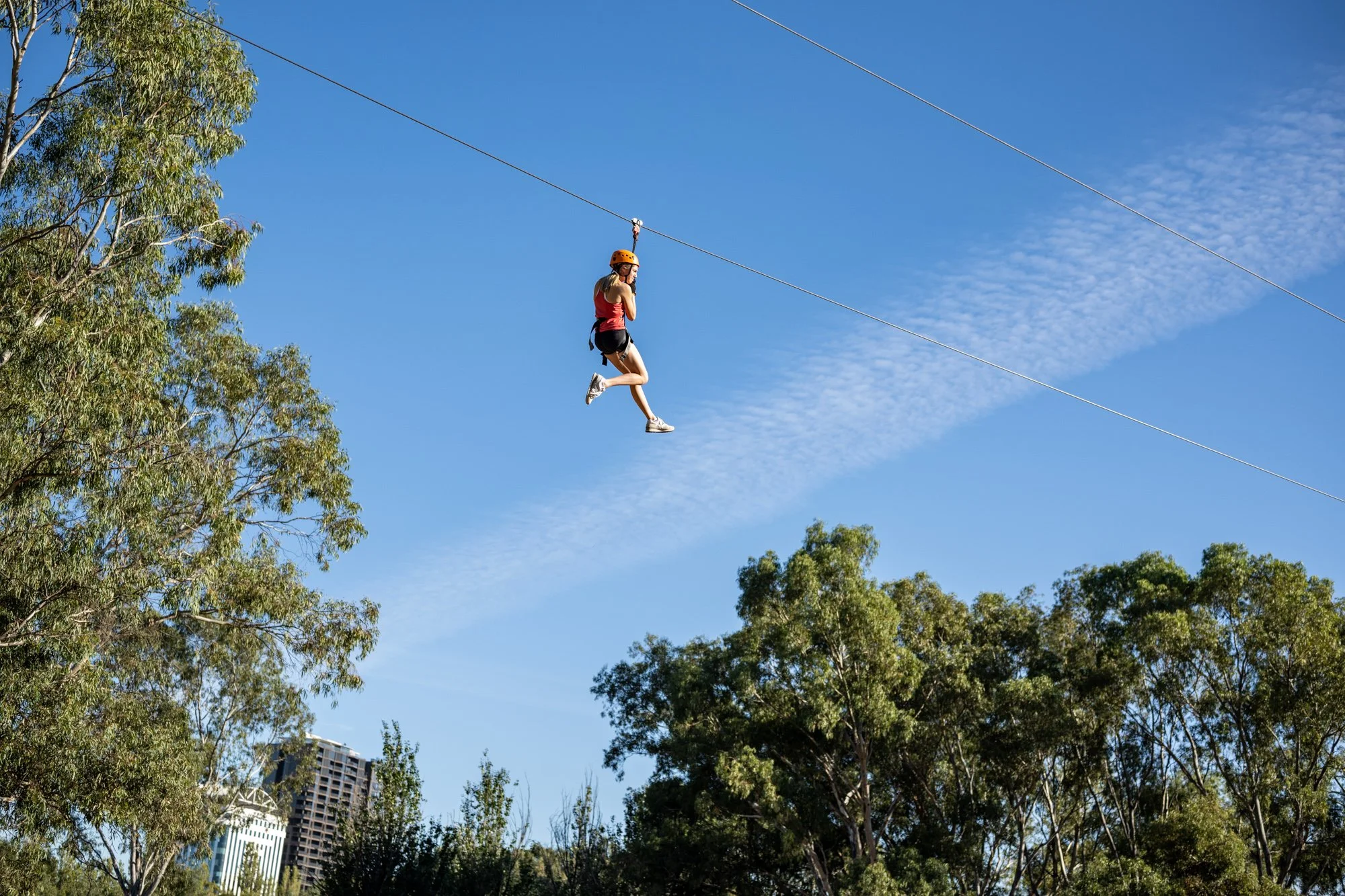 Experiences | Explore Thrilling Adventures — TreeClimb