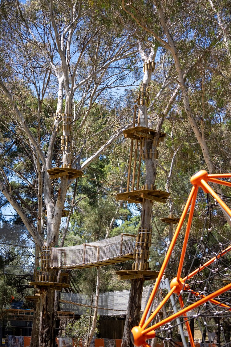 Book Now - Salisbury | Explore New Heights — TreeClimb