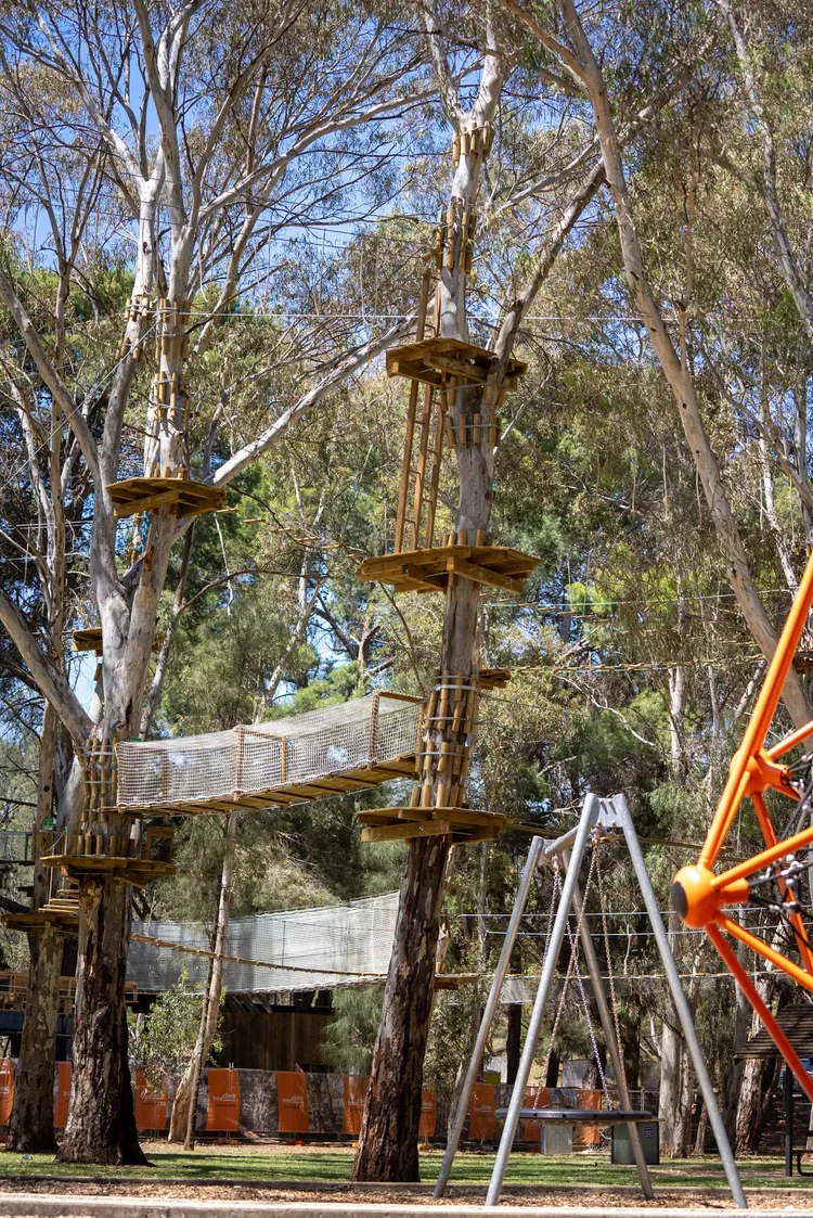 Salisbury — TreeClimb