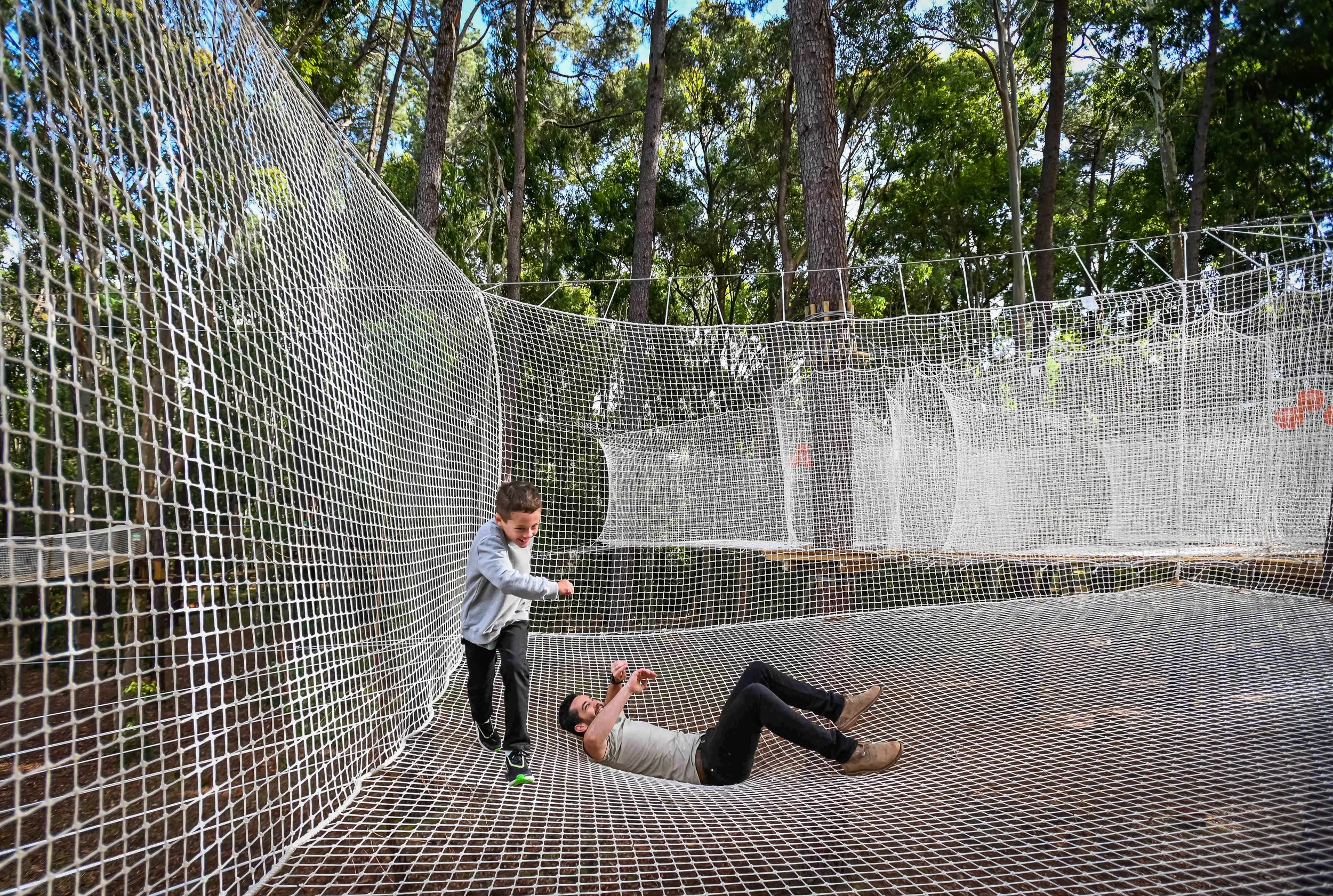 Book Now - Kuitpo Forest — TreeClimb