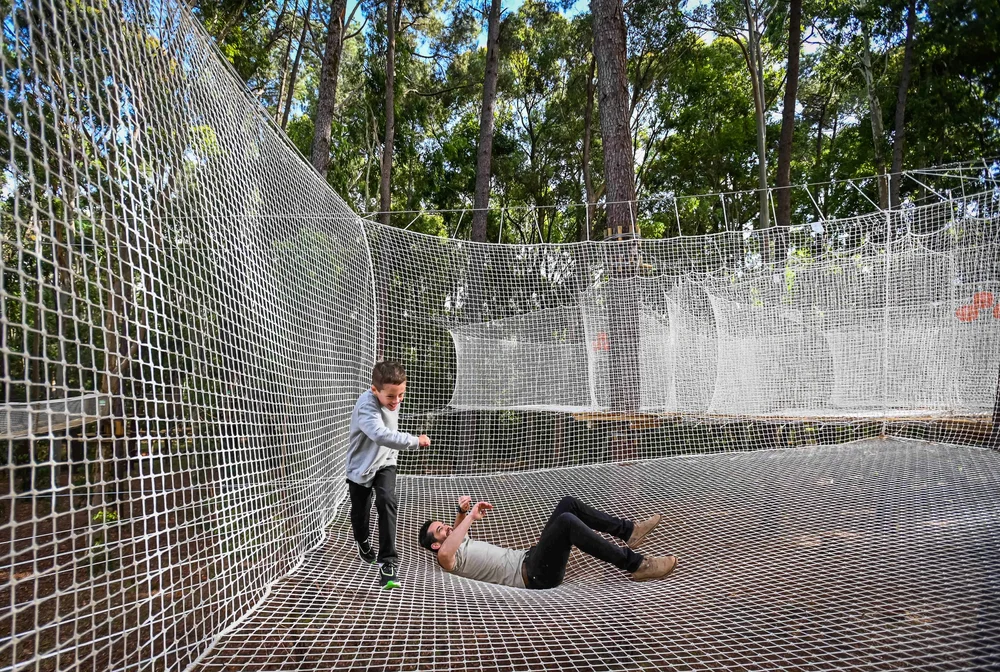 Book Now - Kuitpo Forest — TreeClimb