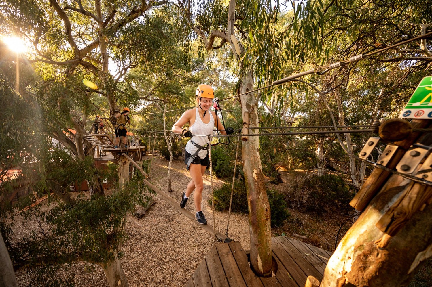 FAQs — TreeClimb