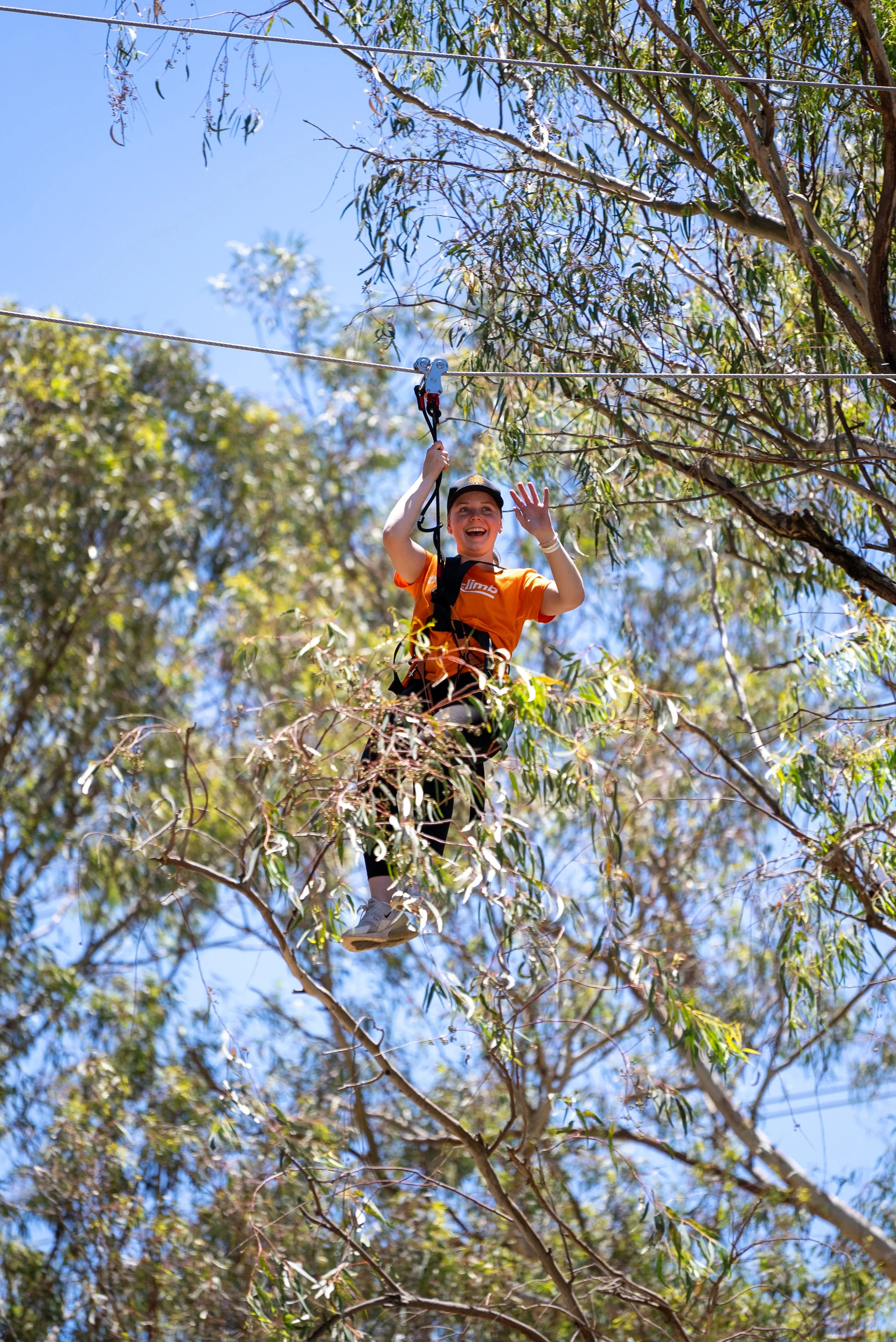 Book Now | Adventure Awaits Today — TreeClimb