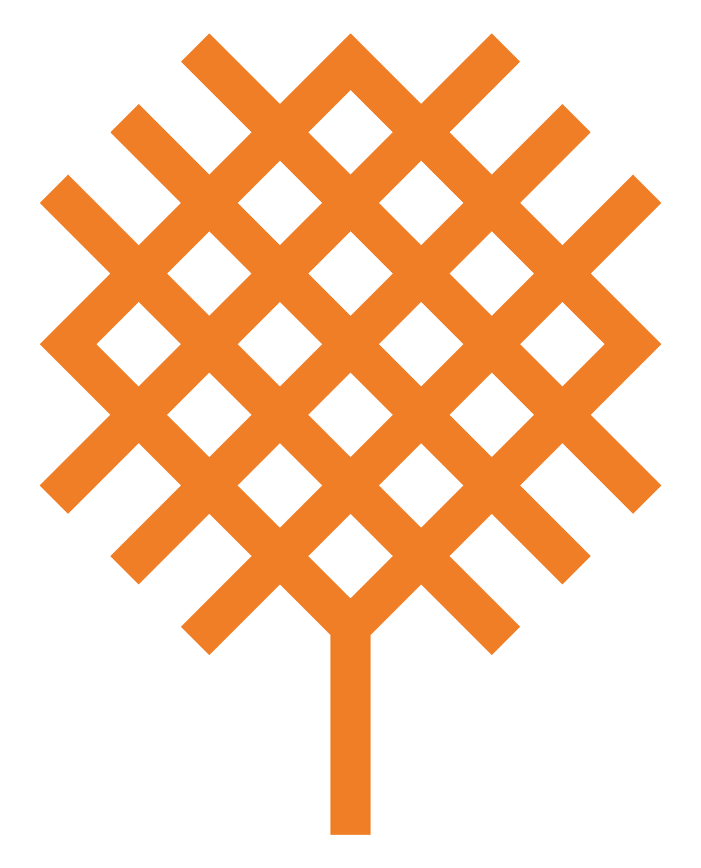 Book Now - Salisbury | Explore New Heights — TreeClimb