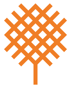 Book Now - Salisbury | Explore New Heights — TreeClimb