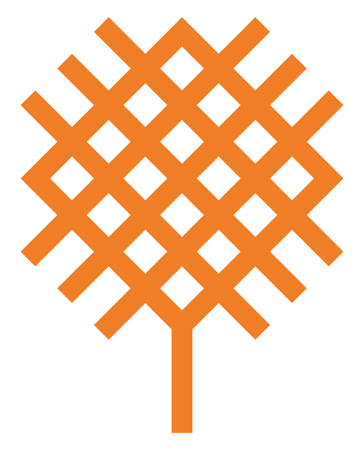 Book Now - Salisbury | Explore New Heights — TreeClimb