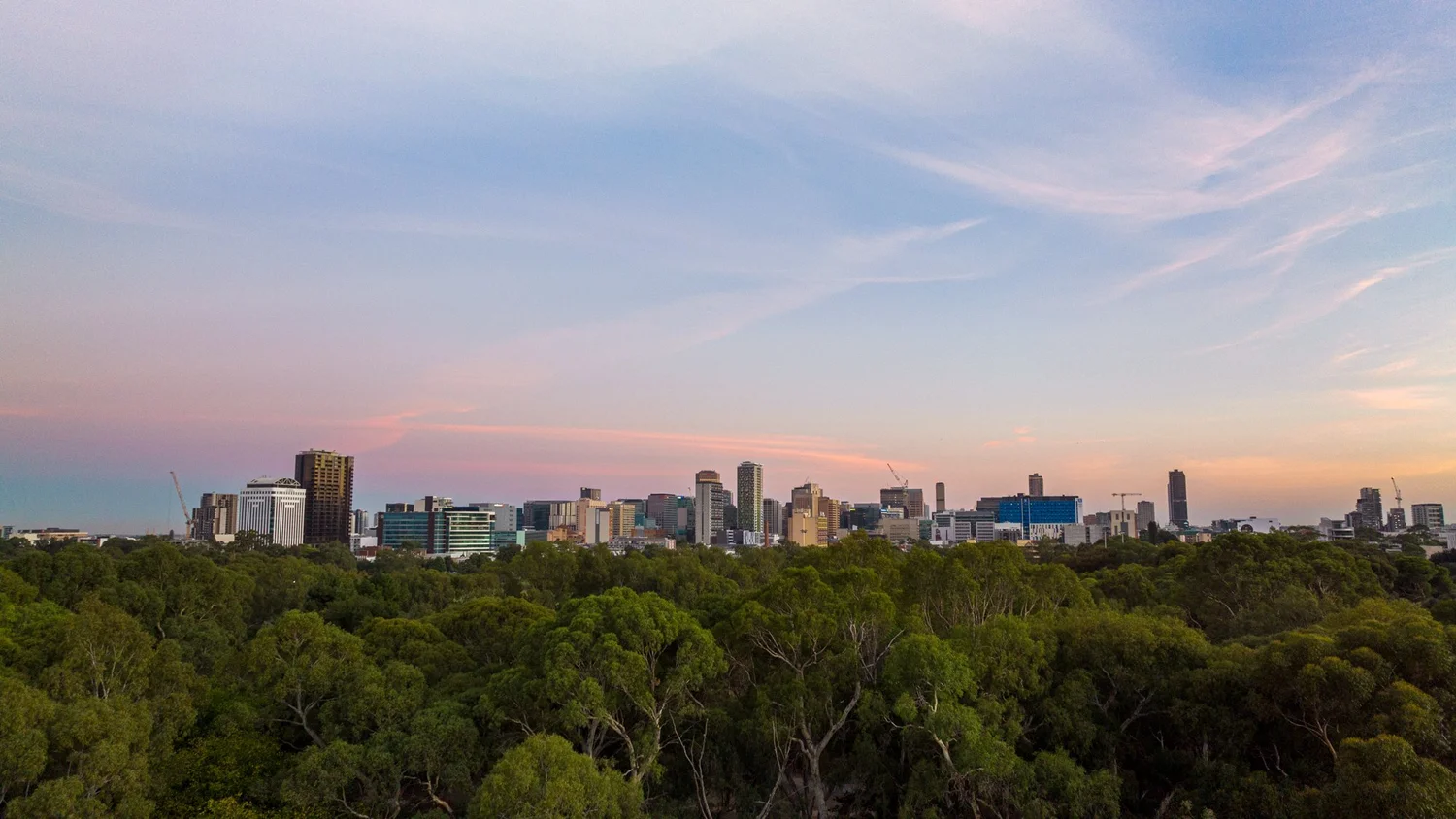 Book Now - Adelaide | Join the Adventure — TreeClimb