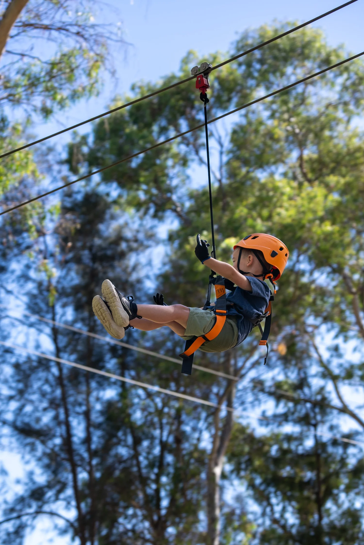 Book Now | Adventure Awaits Today — TreeClimb