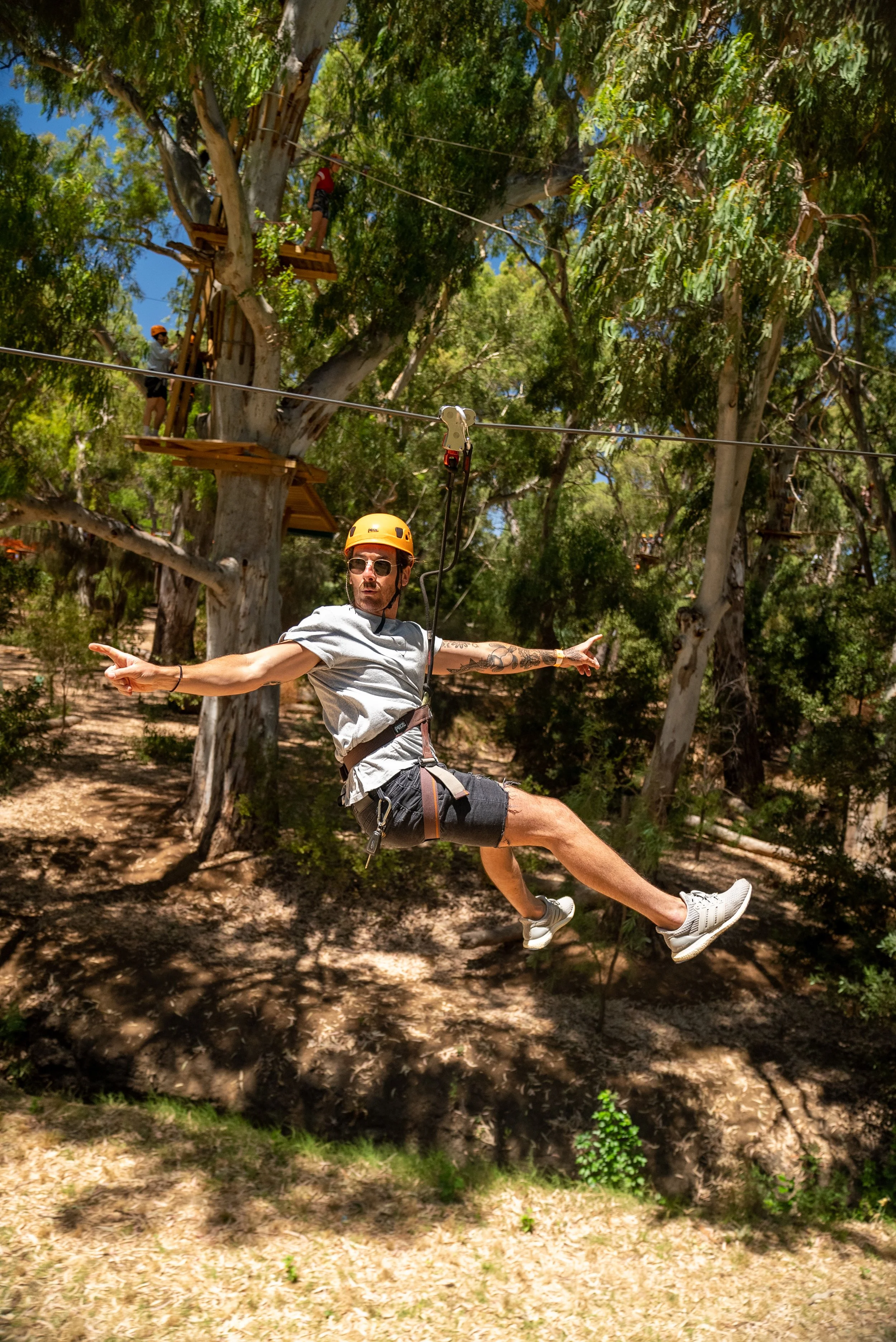 Experiences — TreeClimb