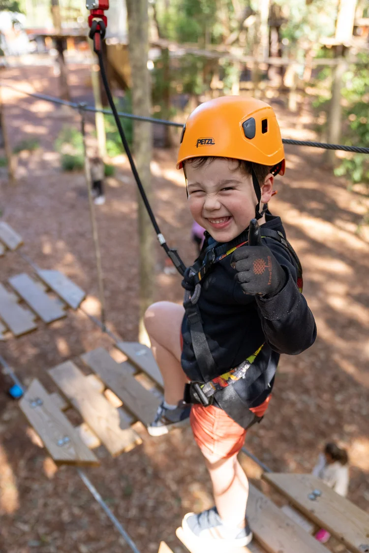 Experiences | Explore Thrilling Adventures — TreeClimb