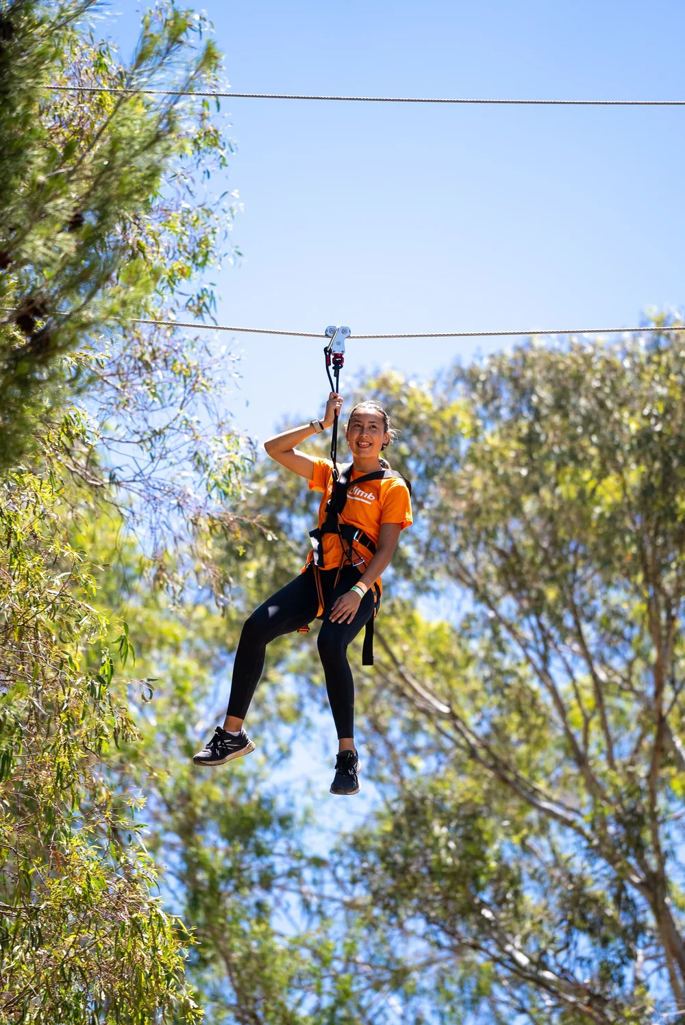 Book Now - Salisbury | Explore New Heights — TreeClimb