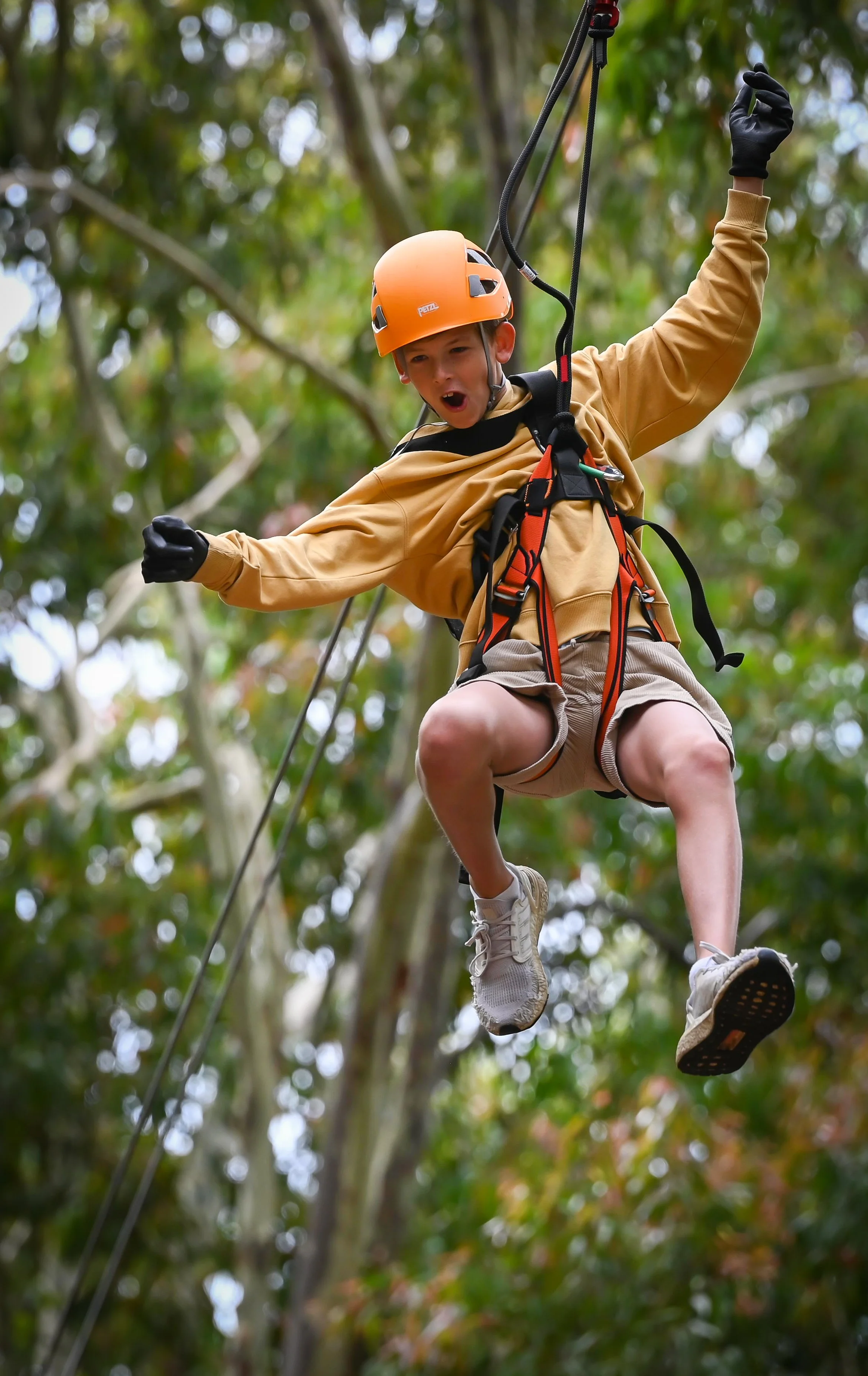 Book Now - Kuitpo Forest | Book Your Adventure — TreeClimb