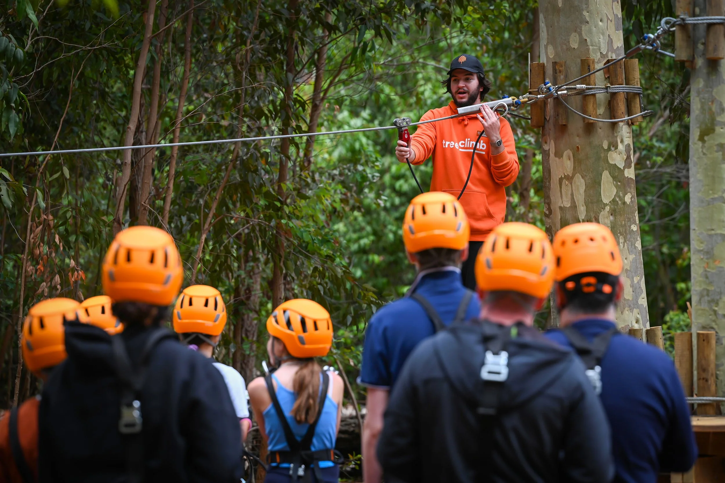 TreeClimb - Engineered for fun, powered by nature.