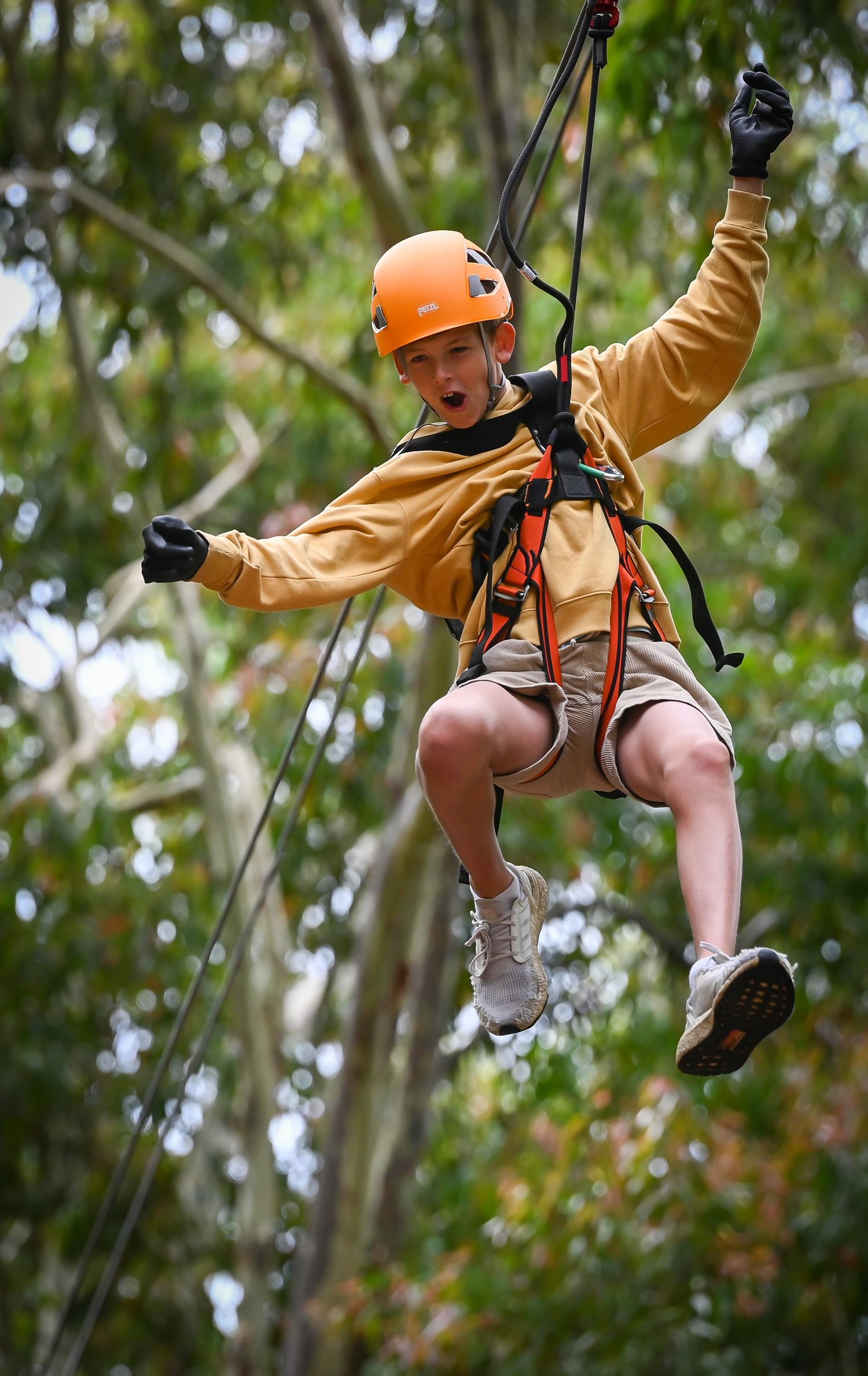 Book Now — TreeClimb