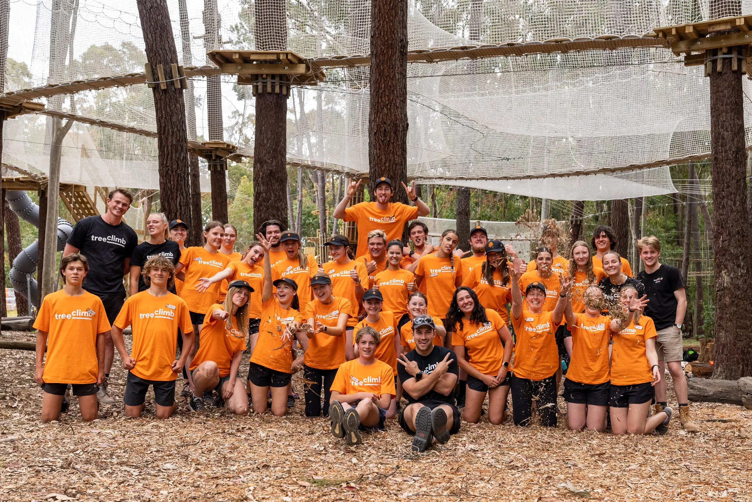 Careers | Join Our Team Today — TreeClimb