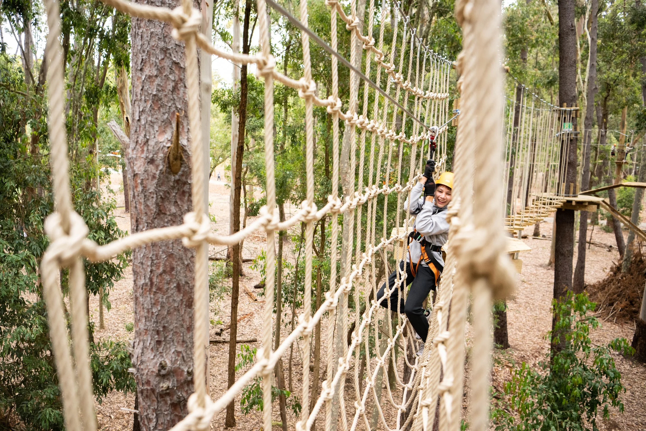 Book Now | Adventure Awaits Today — TreeClimb