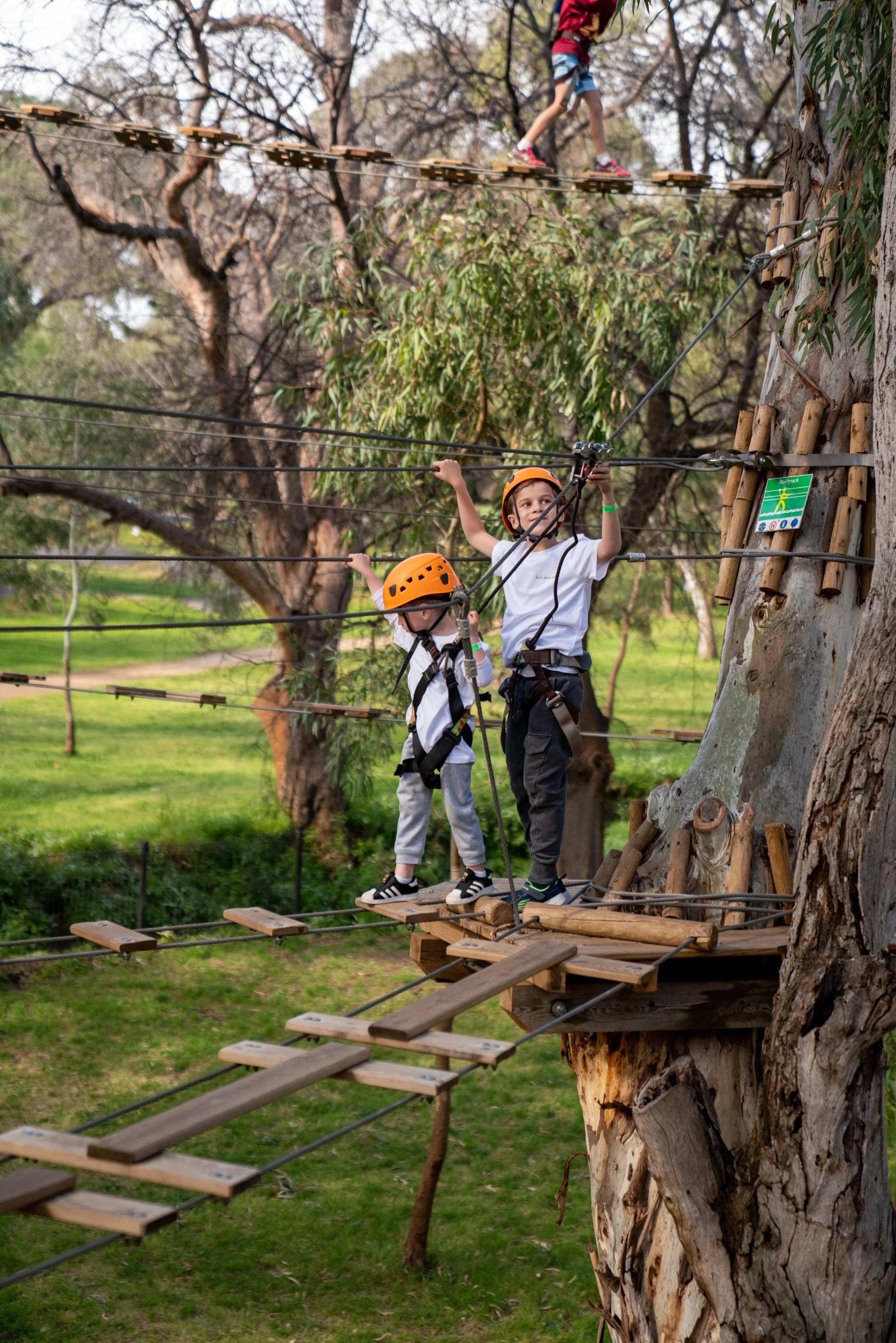 Experiences — TreeClimb