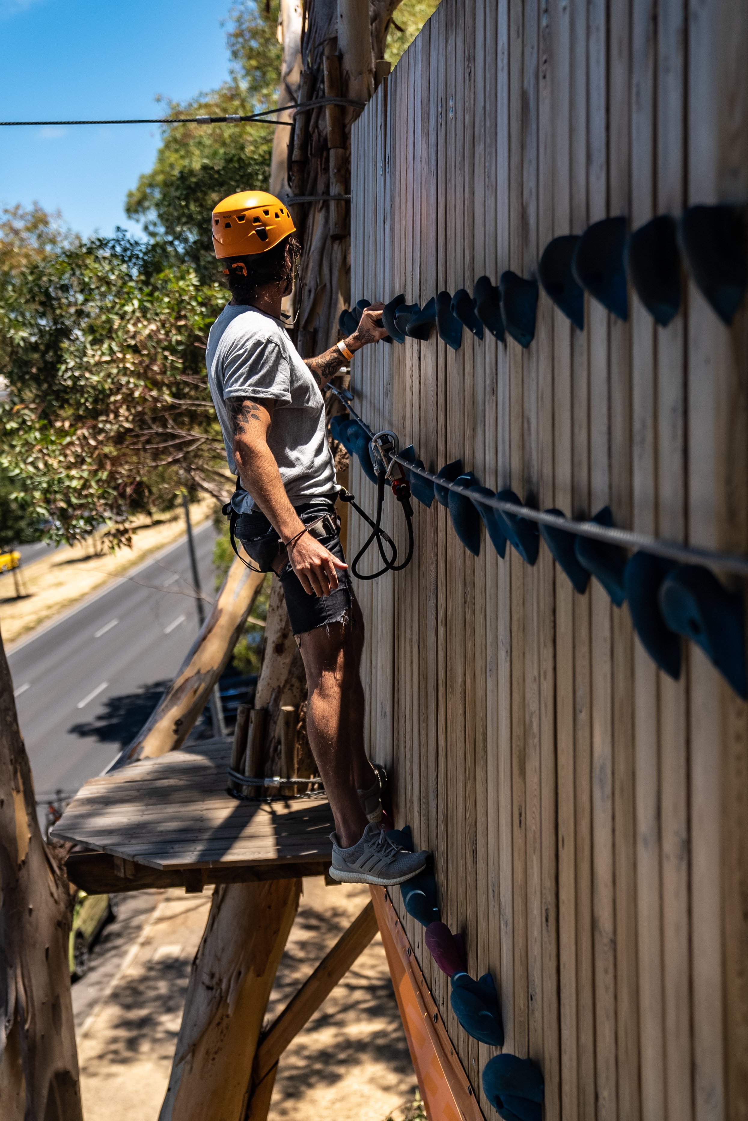 Video Gallery | Explore Our Adventures — TreeClimb