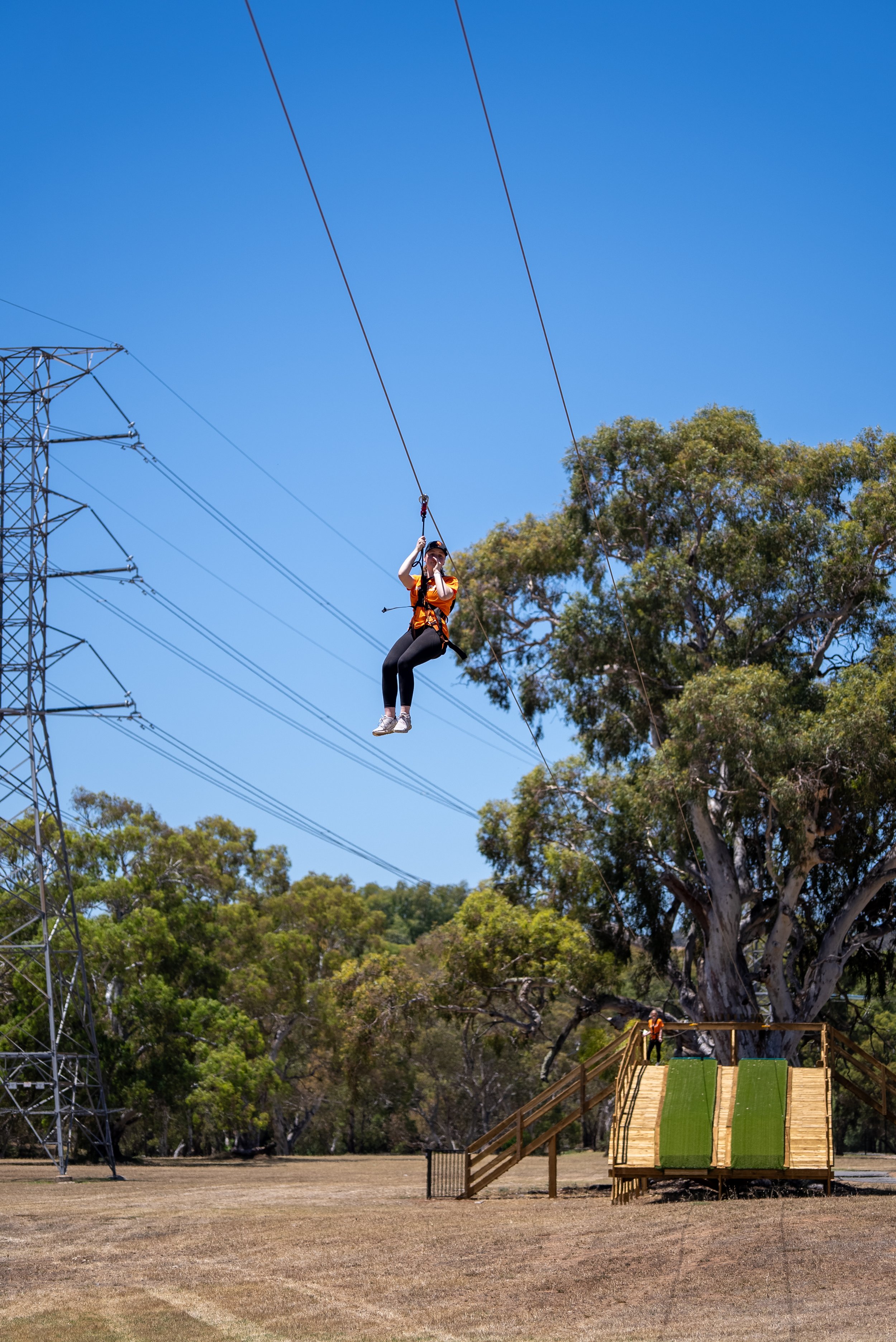 Salisbury — TreeClimb